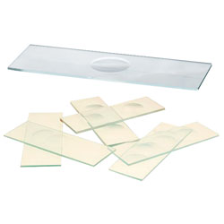 Eisco Cavity Microscope Slides 75 x 25mm - Pack of 10 | Rapid Electronics