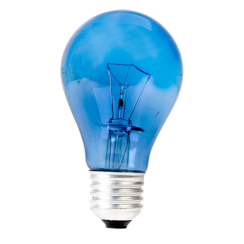 Rapid Bulb Daylight 100W ES GLS | Rapid Electronics