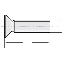 Toolcraft Phillips Countersunk Screw DIN 965 Polyamide M2.5 x 20mm Pack ...