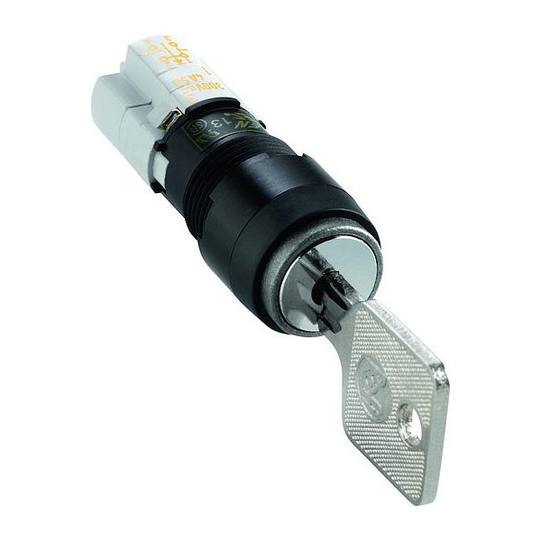 Rafi 1.15.108.852/0000 Key Switch Round Latch 2x Off/On 4A 250V 1x90 ...