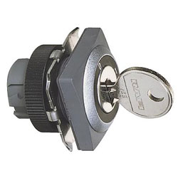 Rafi 1.30.245.271/0800 Key Switch Square Latch 1x90° Silver-Grey Form L ...