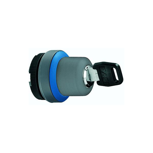 Rafi 1.30.255.201/0800 Key Switch Round Latch 1x90° IP65 Ø29.8mm Silver ...